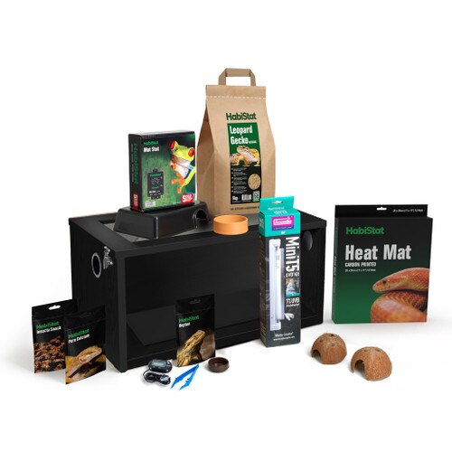 HabiStat Black Leopard Gecko Starter Kit | Monkfield Reptile